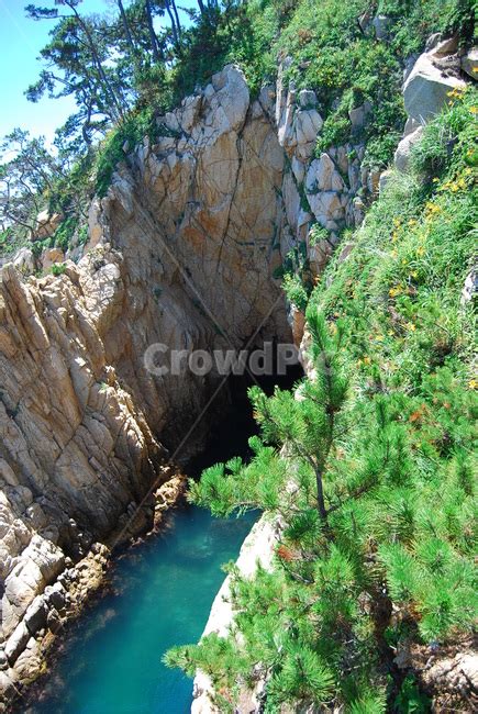 자연 바다 여름 풍경 대왕암 사진이미지일러스트캘리그라피 Drang0작가