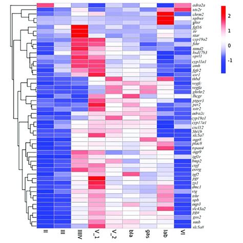 The Heatmap Of Reproduction Related Degs Expression Pattern At