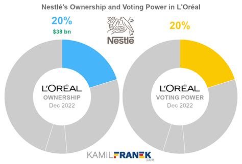 Who Owns Loréal The Largest Shareholders Overview Kamil Franek Business Analytics