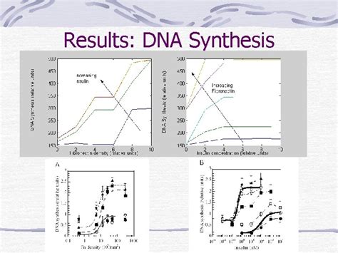 Improving Boolean Networks To Model Signaling Pathways Bree