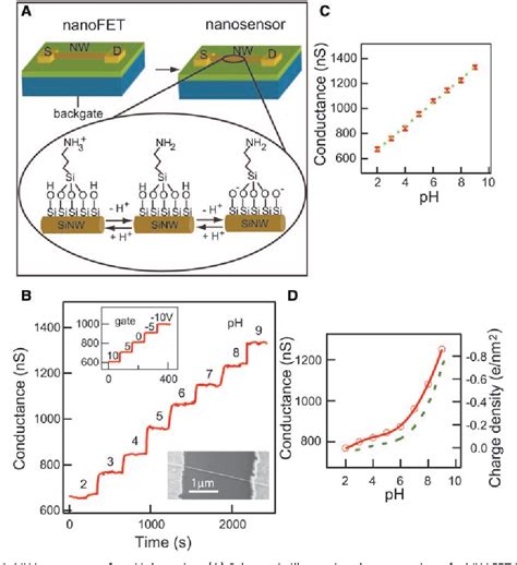 Figure From Nanowire Nanosensors For Highly Sensitive And Selective Detection Of Biological