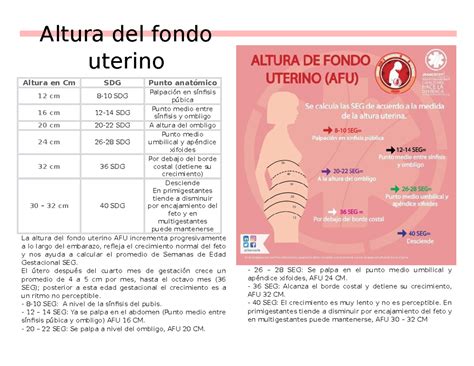 Altura Uterina 37 Cm Retoedu
