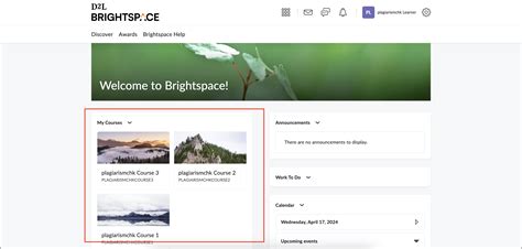 How To Submit Assignments To Brightspace