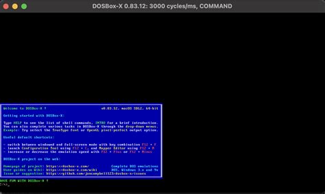 How To Make Dosbox Full Screen Windows 10 Blacktarget