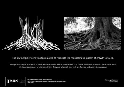 Meristematic Stigmergy Iaac Blog