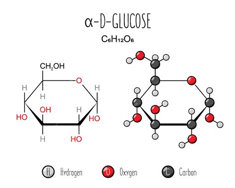 Premium Vector Alpha Glucose Representation Skeletal Formula And 2d Structure Illustration Web