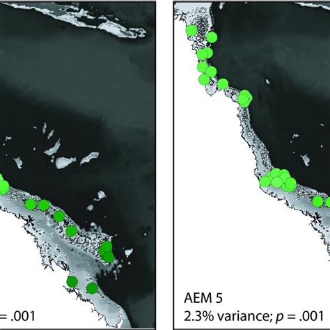 Leading Asymmetric Eigenvector Maps Describing Spatial Genetic Download Scientific Diagram
