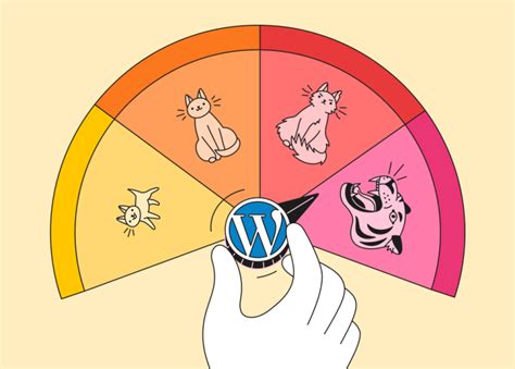 Wordpress Performance Guide For Agencies Speed And Scalability Beetroot