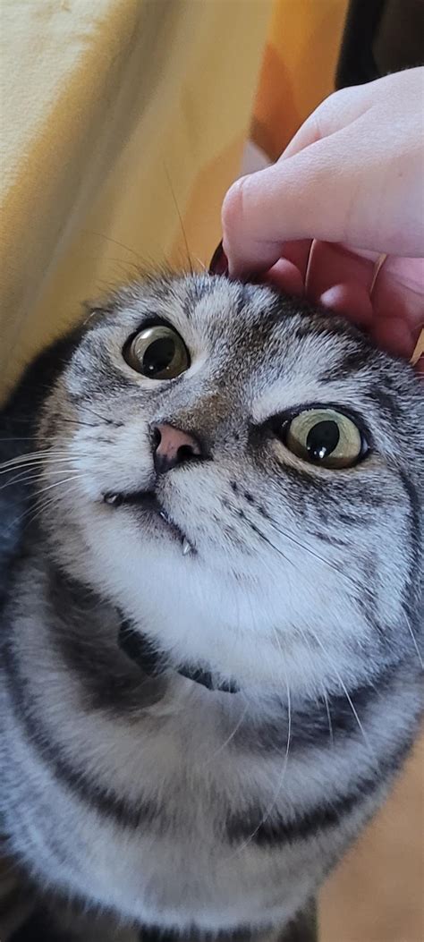 You Can See It In Her Eyes R Teefies