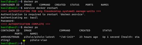 Macvlan Is Not Persisting And PiHole Container Does Not Startup After Reboot Help Pi Hole