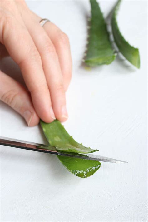 How To Harvest Aloe Vera What To Do With It Hello Glow