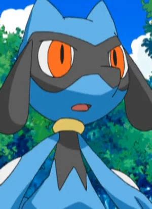 Aura Sphere Riolu Character