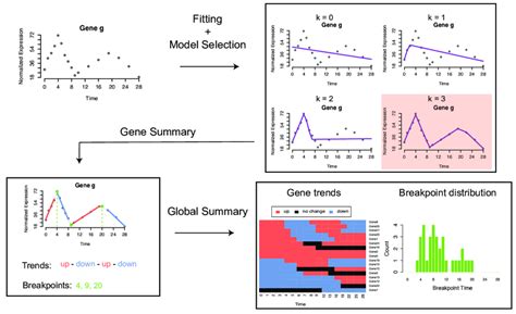 Trendy Framework The Trendy Framework Fits Multiple Segmented Download Scientific Diagram