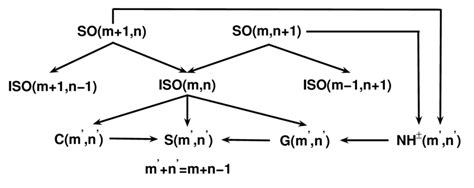 An Illustration Of Some Of The Contraction Paths Relating Some Download Scientific Diagram