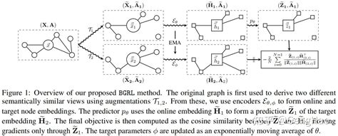 【论文笔记】bgrl 2022 iclr 知乎