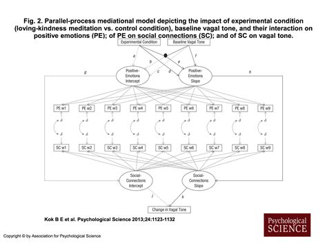 Psychological Science 247 1123 32 Fig 2 Copy Statistical Modeling Causal Inference And
