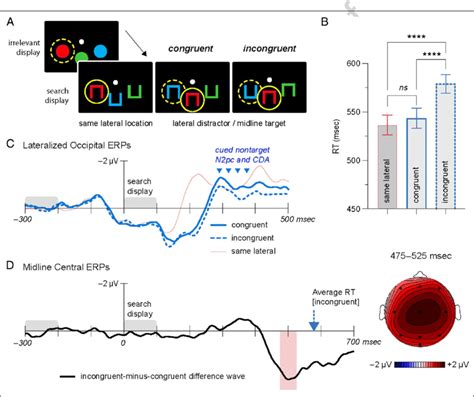 Behavioral And Electrophysiological Effects Of Congruency Between Download Scientific Diagram