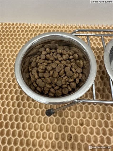 Сухой корм для взрослых кошек AJO Cat Sterile для активных ...