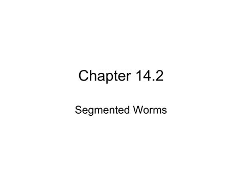 Segmented Worms Ppt