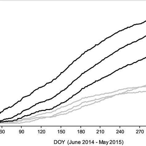 Cumulative Stem Diameter Variation Raw Data Recorded By Dendrometers