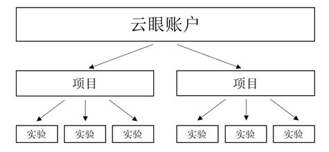 在云眼 Web 实验中管理项目