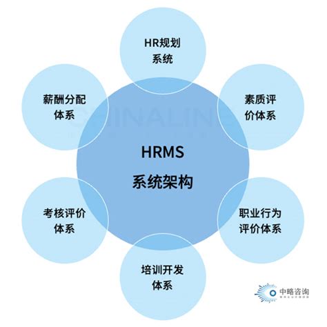 人力资源规划服务 人力资源战略规划咨询公司 中略咨询