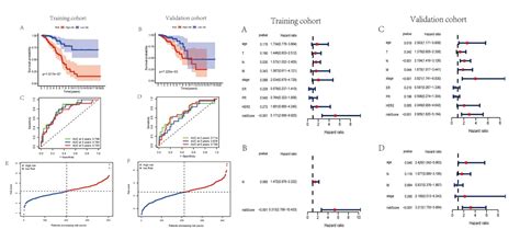 An Exosome Related Rna Risk Model For Predicting Breast Cancer Creative Bioarray Creative