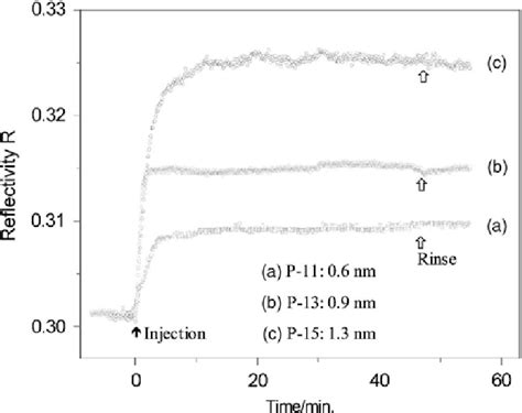 Kinetic Curves Taken During The Immobilization Of Three Different Pnas Download Scientific
