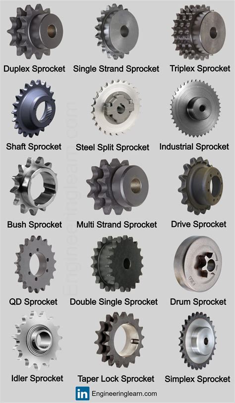 What Is A Double Pitch Sprocket At Lucinda Mckellar Blog