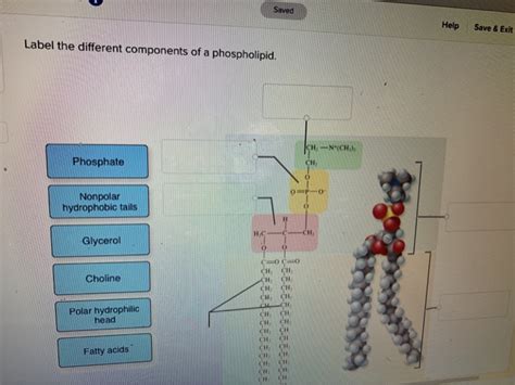 Solved Saved Help Save And Exit Label The Different Components