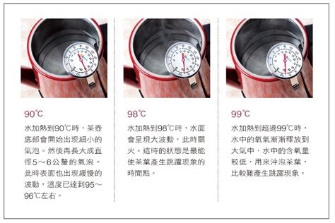 紅茶要好喝只能沖泡一次？掌握「4要點」才能呈現完整魅力 健康遠見