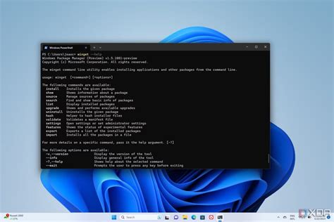 winget 是什么以及如何使用它在 windows 上安装程序