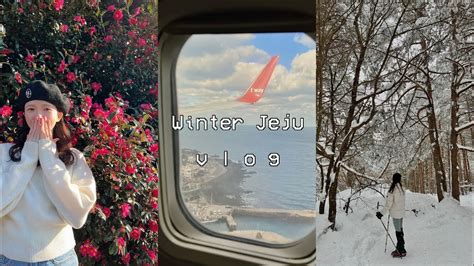 2박 3일 겨울 제주여행 ☃️ 한라산 일출산행 성판악 관음사 제주 맛집 제주 브이로그 일상 브이로그 Youtube
