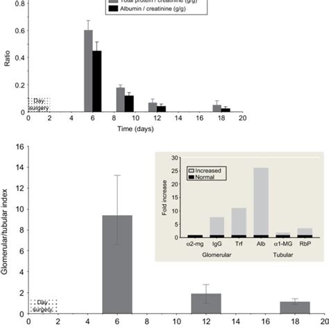 Protein Creatinine Ratio And Glomerular Tubular Index Over The First 20 Download Scientific