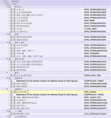 Sap 的组织架构有哪些关键要素？ 知乎