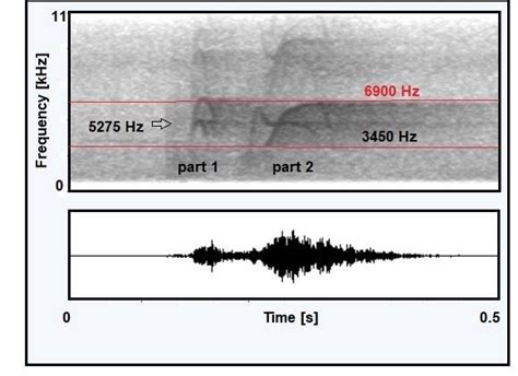 Condition 1 Spectrogram And Time Display Of One Chirp Consisting Of