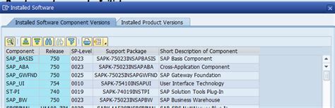 Idoc Error For Same Custom Idoc Extensionsegment Sap Community