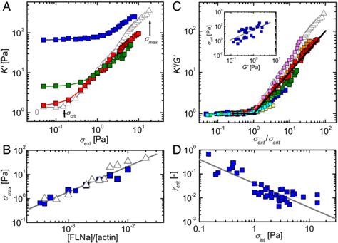 Nonlinear Response Of Passive And Active F Actin Networks To An