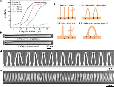 A Assembly Yield In A Single Layer Of Sinws As A Function Of Nanowire