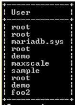 MariaDB Create User How To Create User In MariaDB Examples