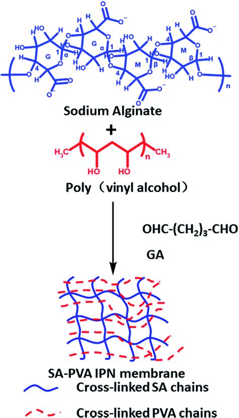 A Sodium Alginate Based Sustained Release Ipn Hydrogel And Its