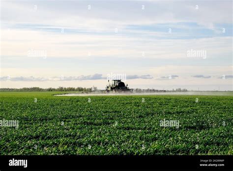 Tractor With A Spray Device For Finely Dispersed Fertilizer Tractor On