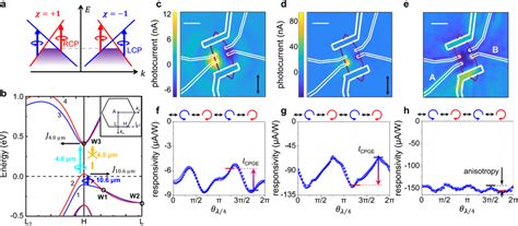 Contrasting Circular Polarization Dependent Photoresponse Of Te Under