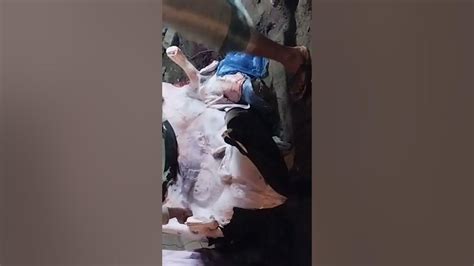 আমরা কাটতে গেলে সারাদিন চলে যায় আর এদের কাছে ১০ মিনিট 😅😅 Youtube