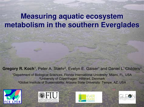 Ppt Measuring Aquatic Ecosystem Measuring Aquatic Ecosystem Metabolism Powerpoint