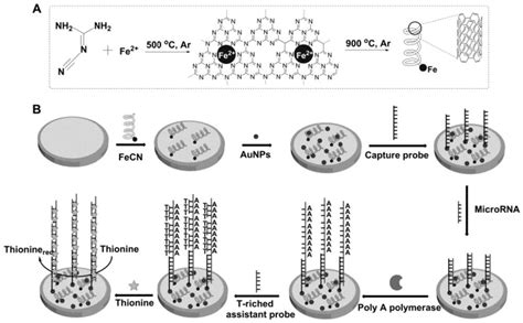A Method For The Detection Of Micrornas In Lung Cancer Cells Based On A Substrate Free Non