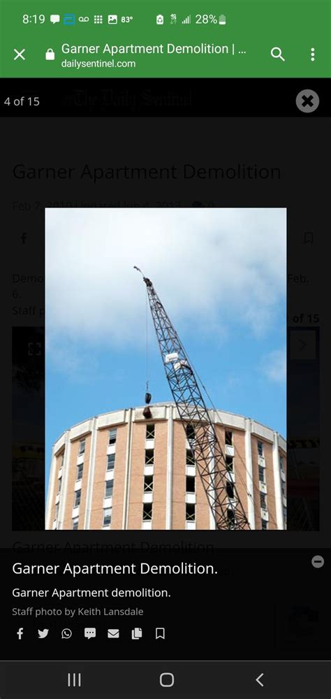 Pin Op Stephen F Austin Sectioned