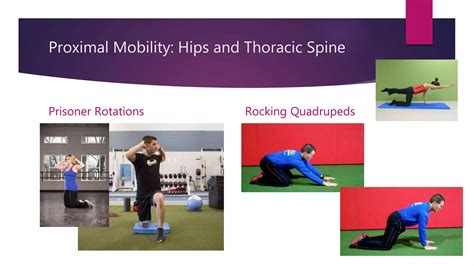 Proximal Stability And Core Rehabilitation Pptx