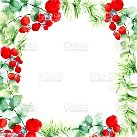 크리스마스 홀리 열매와 소나무 가지에서 프레임입니다 0명에 대한 스톡 벡터 아트 및 기타 이미지 0명 겨울 공휴일 Istock
