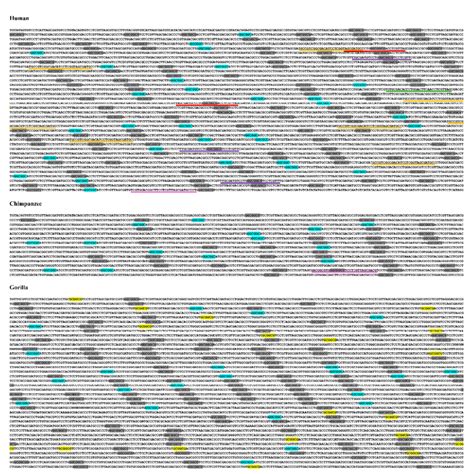 The Largest Two Repeat Unit Colony In Human C266 And The